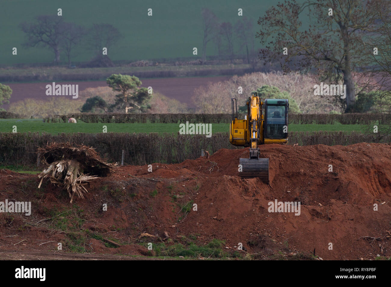 Hedge removal to increase agricultural intensification Stock Photo - Alamy