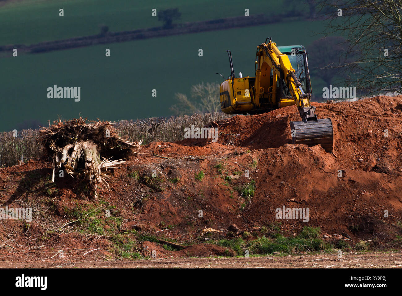Hedge removal to increase agricultural intensification Stock Photo - Alamy