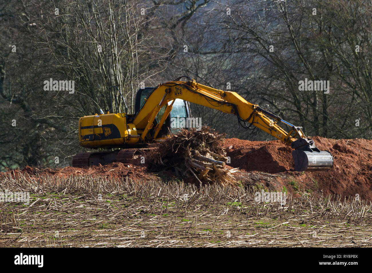 Hedge removal to increase agricultural intensification Stock Photo - Alamy