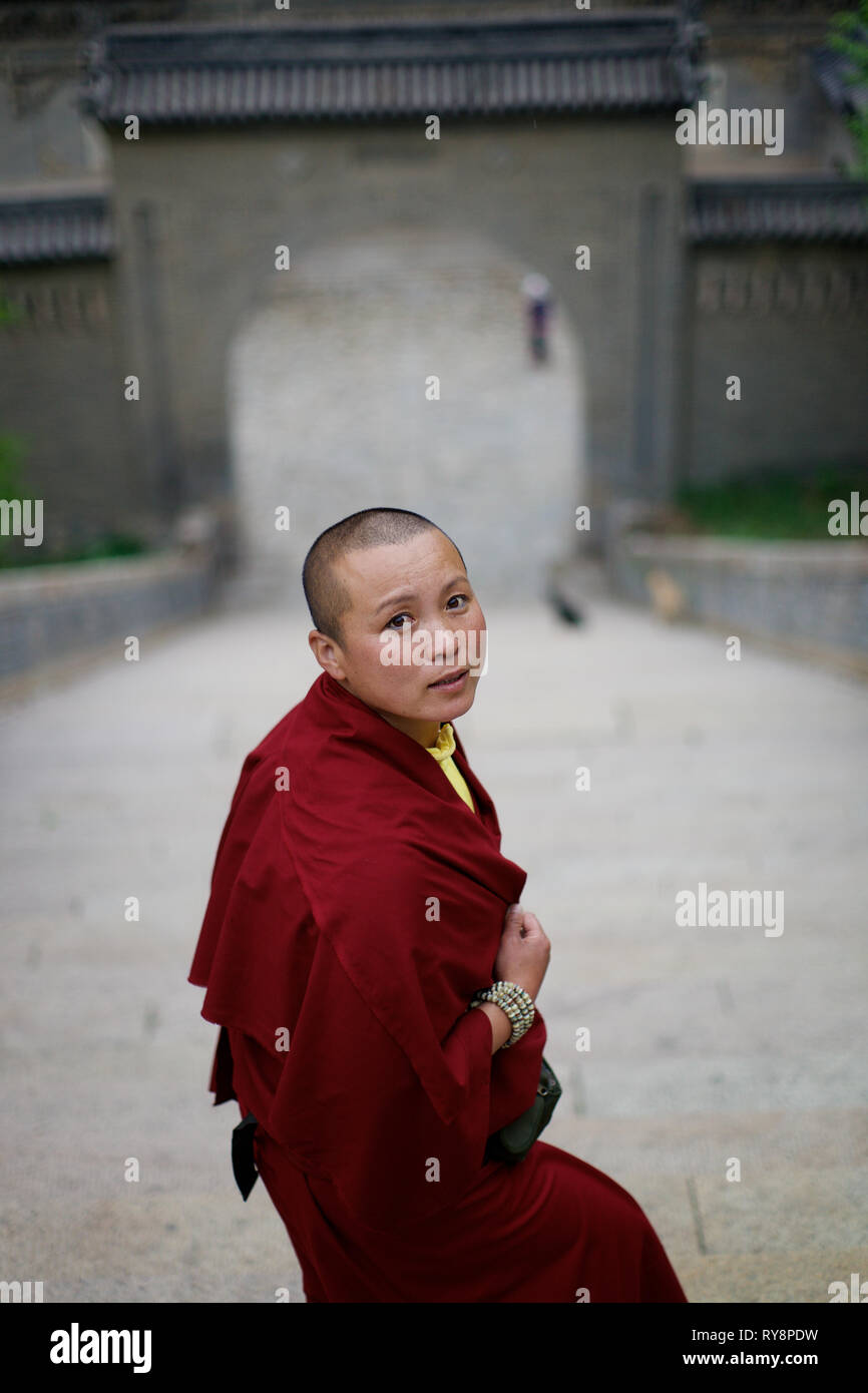 Chinese female monk posing in in buddhist temple, temple, Wutai Shan ...
