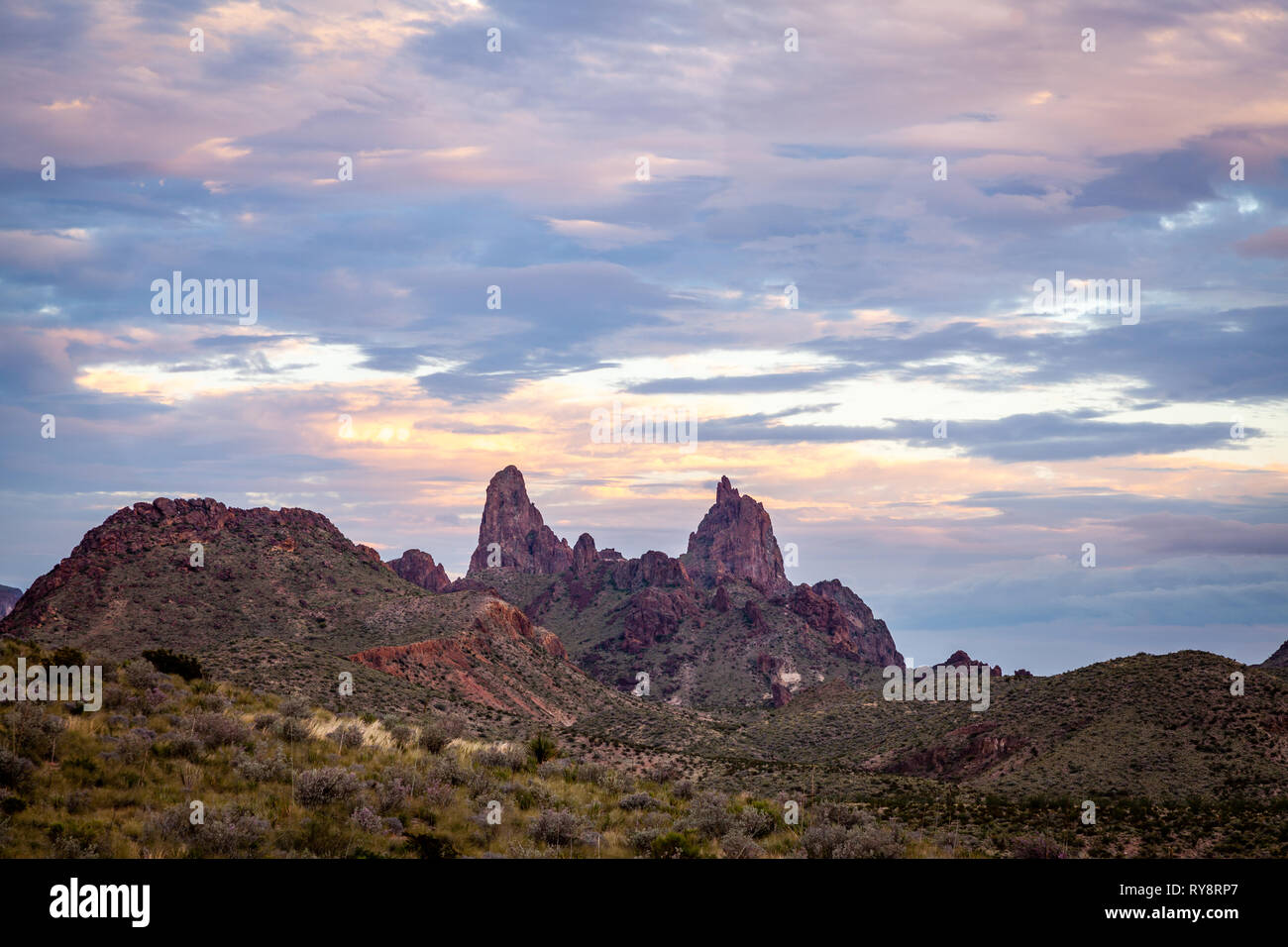 Mule ears big bend hi-res stock photography and images - Alamy