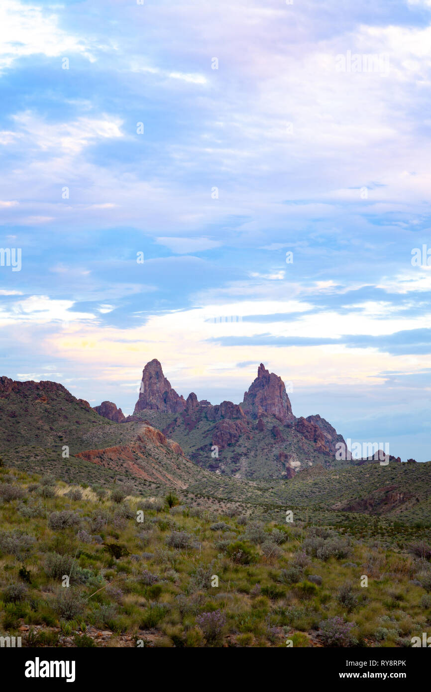 Mule ears big bend hi-res stock photography and images - Alamy