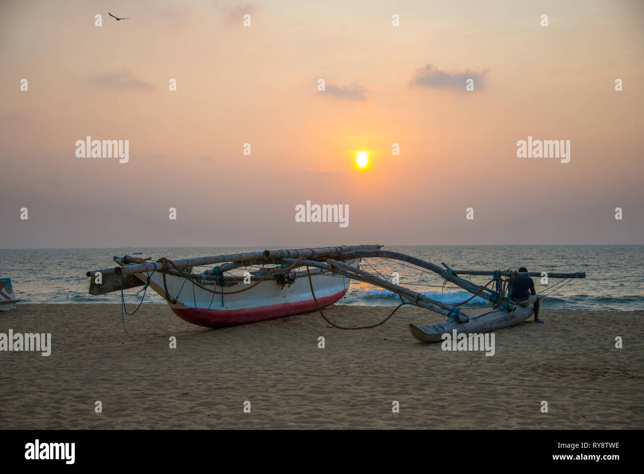 Asia sri lanka negombo hi-res stock photography and images - Alamy