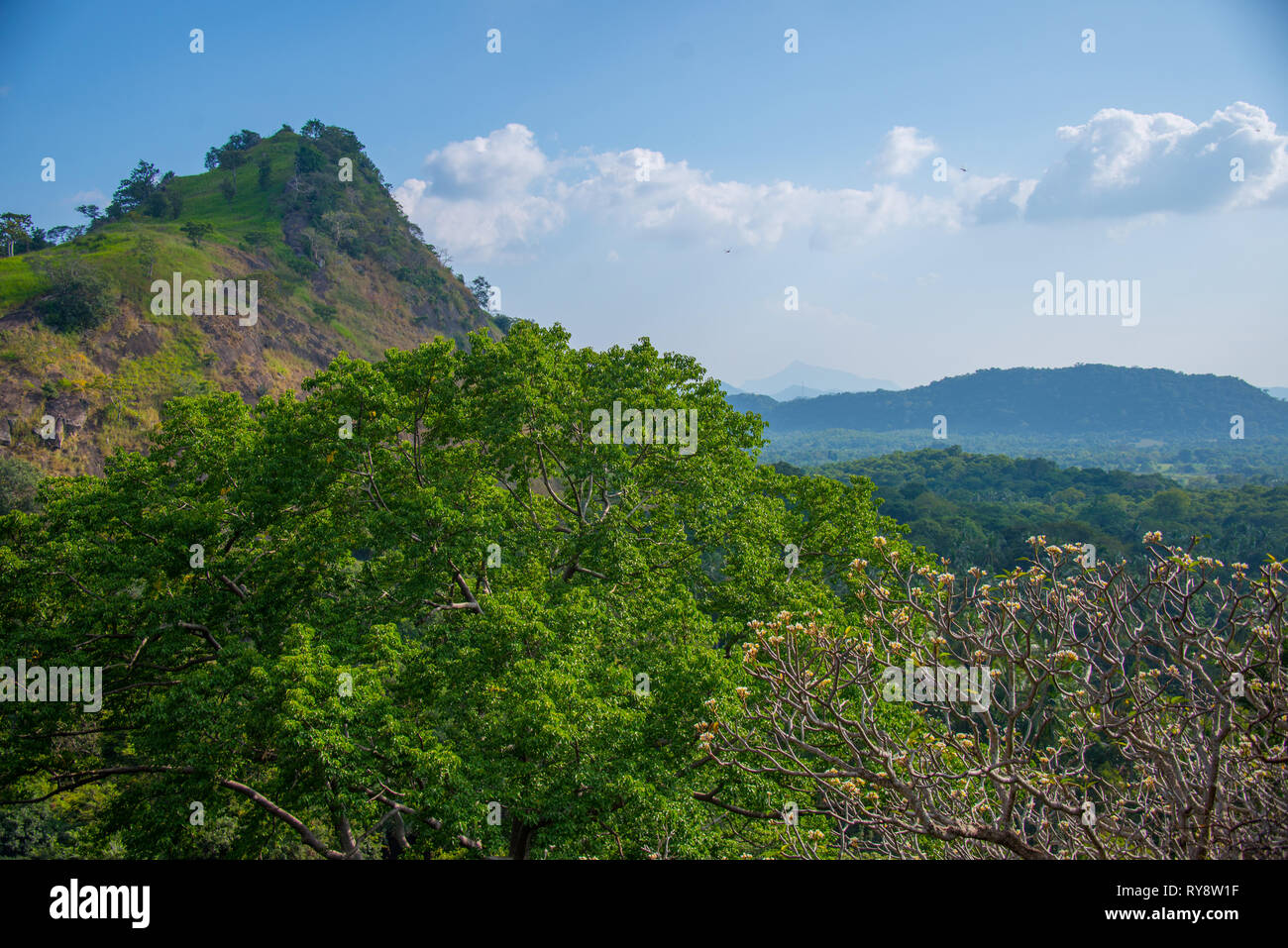 Asia, Sri Lanka, Kandy region, landscape Stock Photo - Alamy