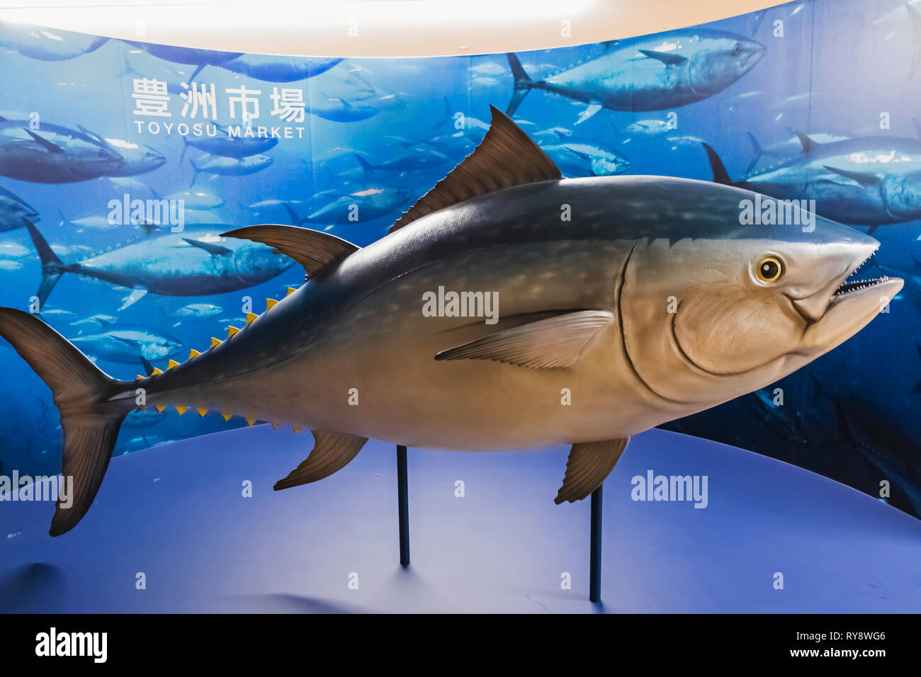 Japan, Honshu, Tokyo, Toyosu Fish Market, Plastic Model of Huge Bluefin ...