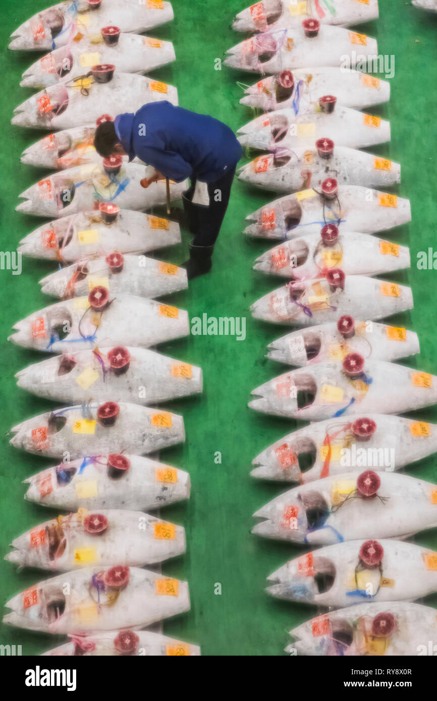Toyosu fish market auction hi-res stock photography and images - Alamy