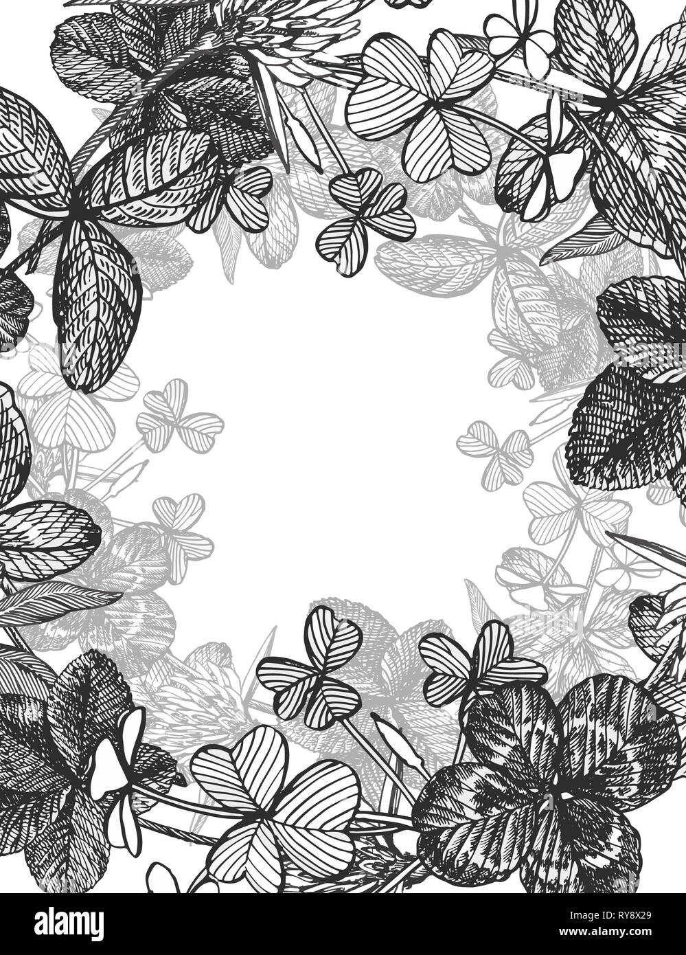 Hand-drawn graphic clover flower illustration. Painted botanical three ...