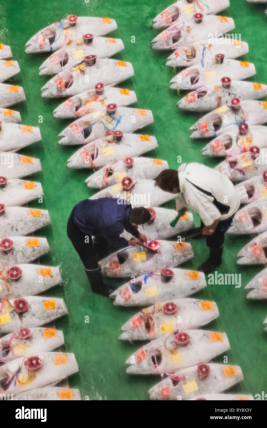 Toyosu fish market auction hi-res stock photography and images - Alamy