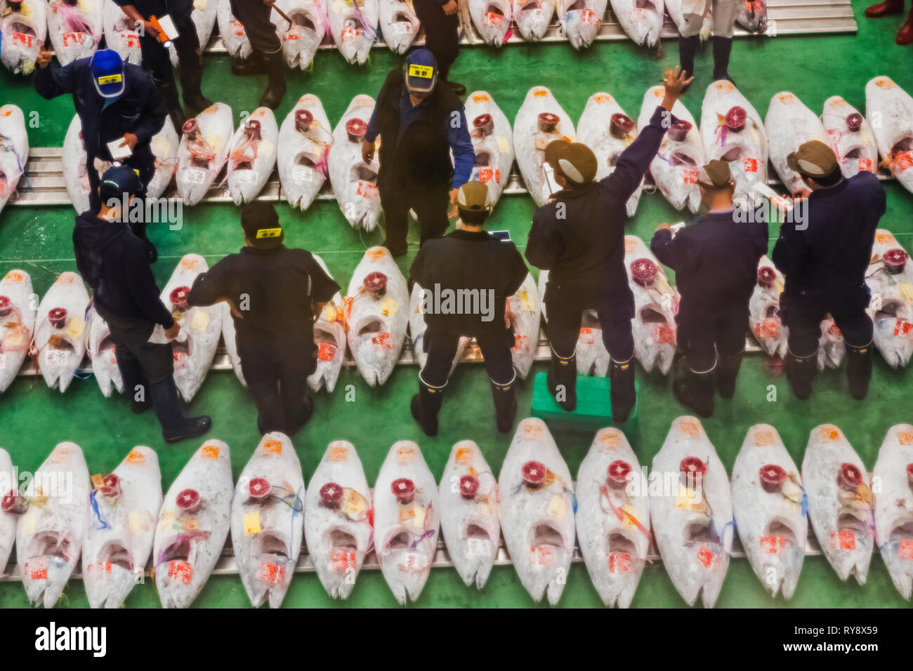 Japan, Honshu, Tokyo, Toyosu Fish Market, View of The Early Morning ...