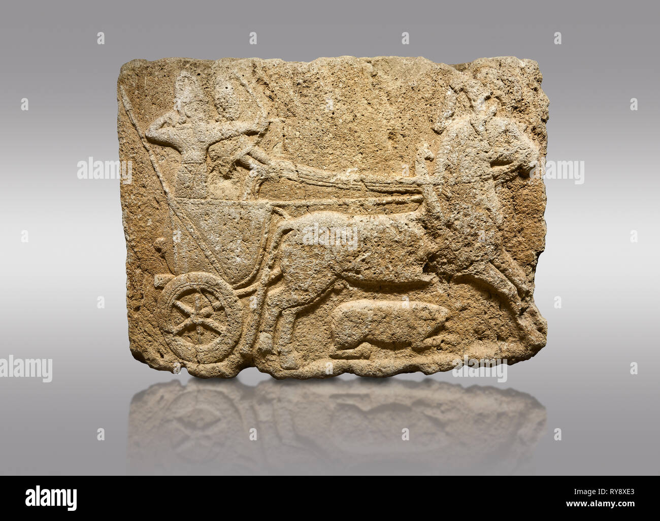 Picture & image of Hittite monumental relief sculpted orthostat stone ...