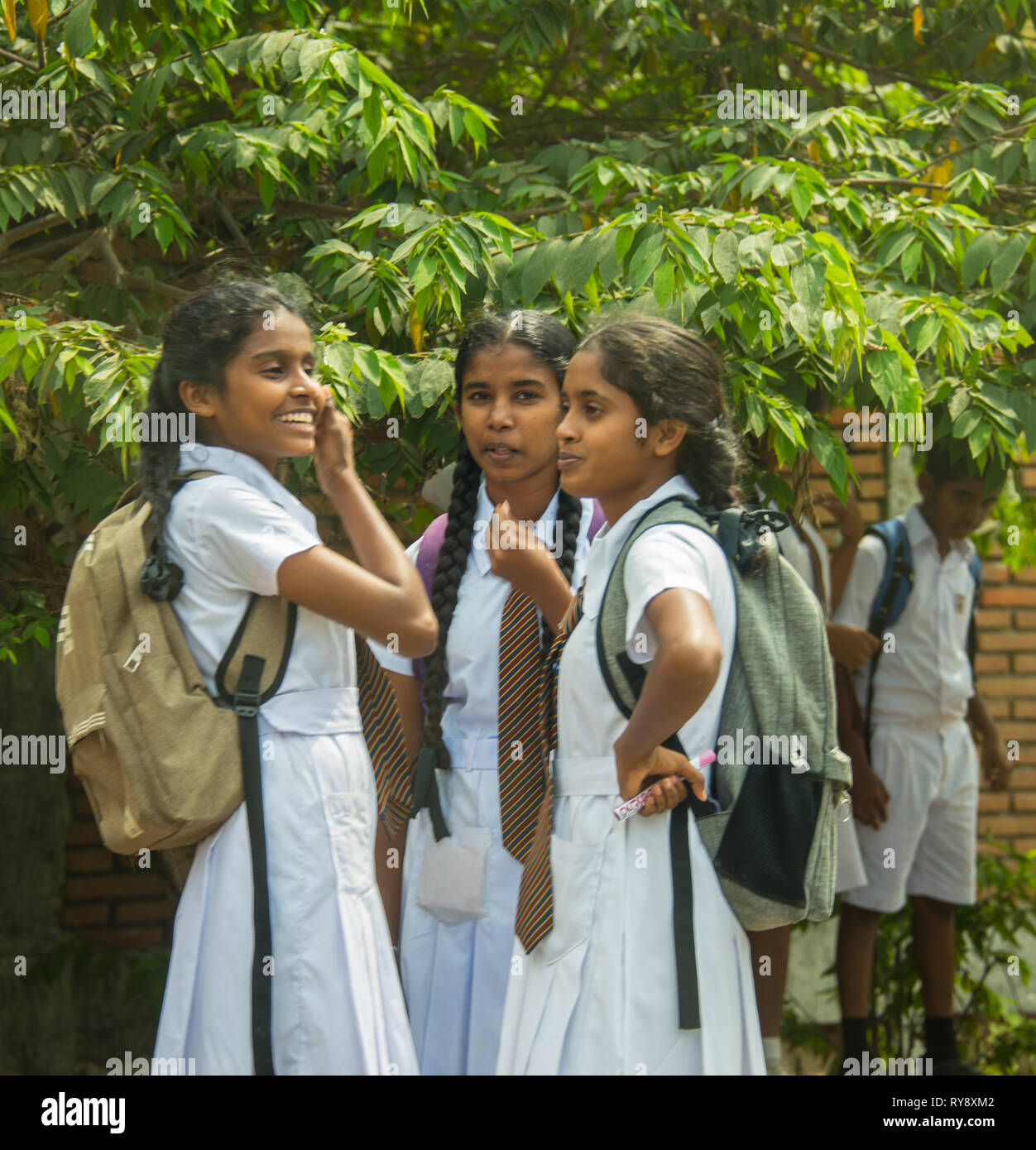 Sri lanka school girl asia hi-res stock photography and images - Alamy