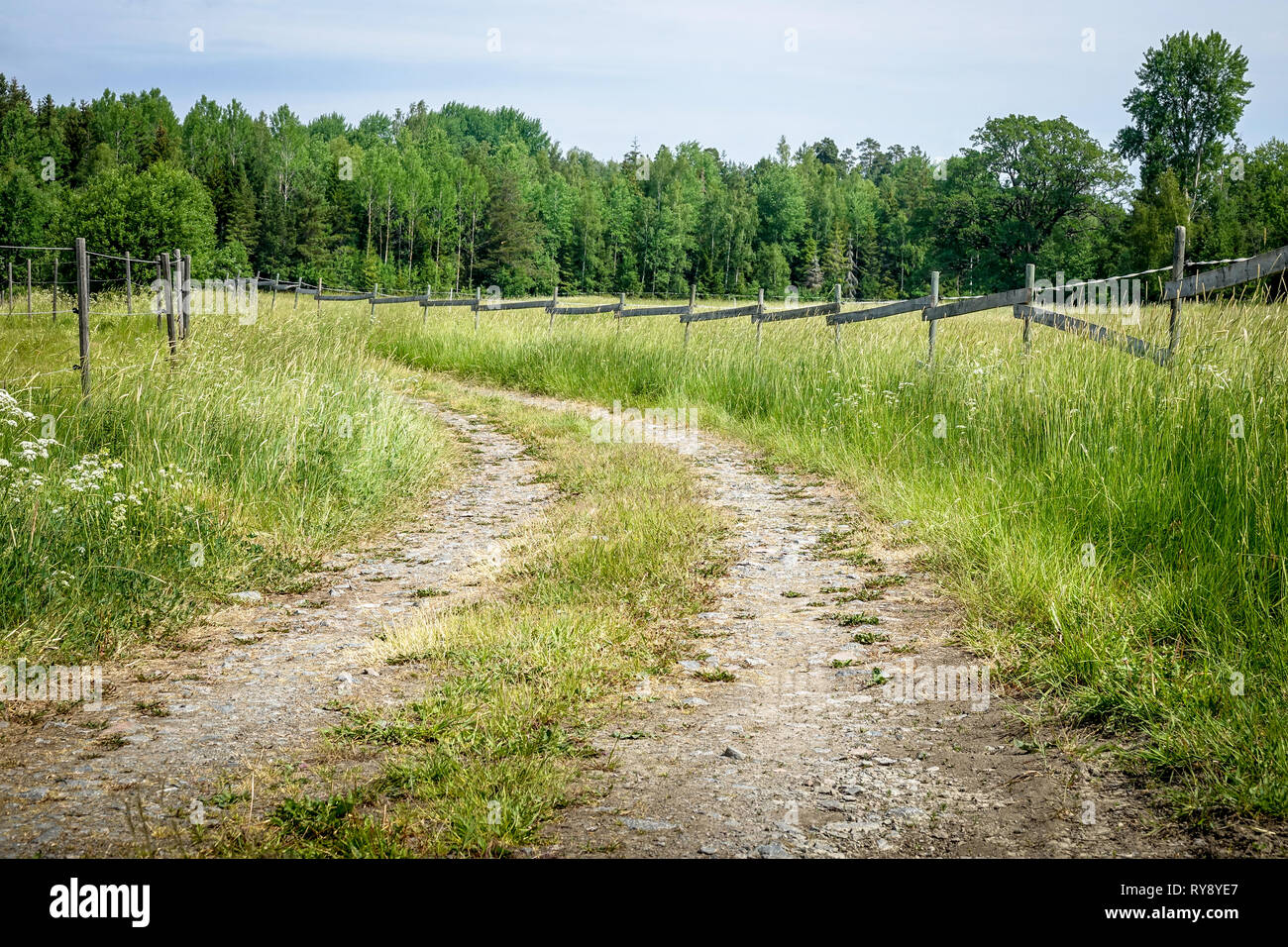 Sweden woods road hi-res stock photography and images - Alamy