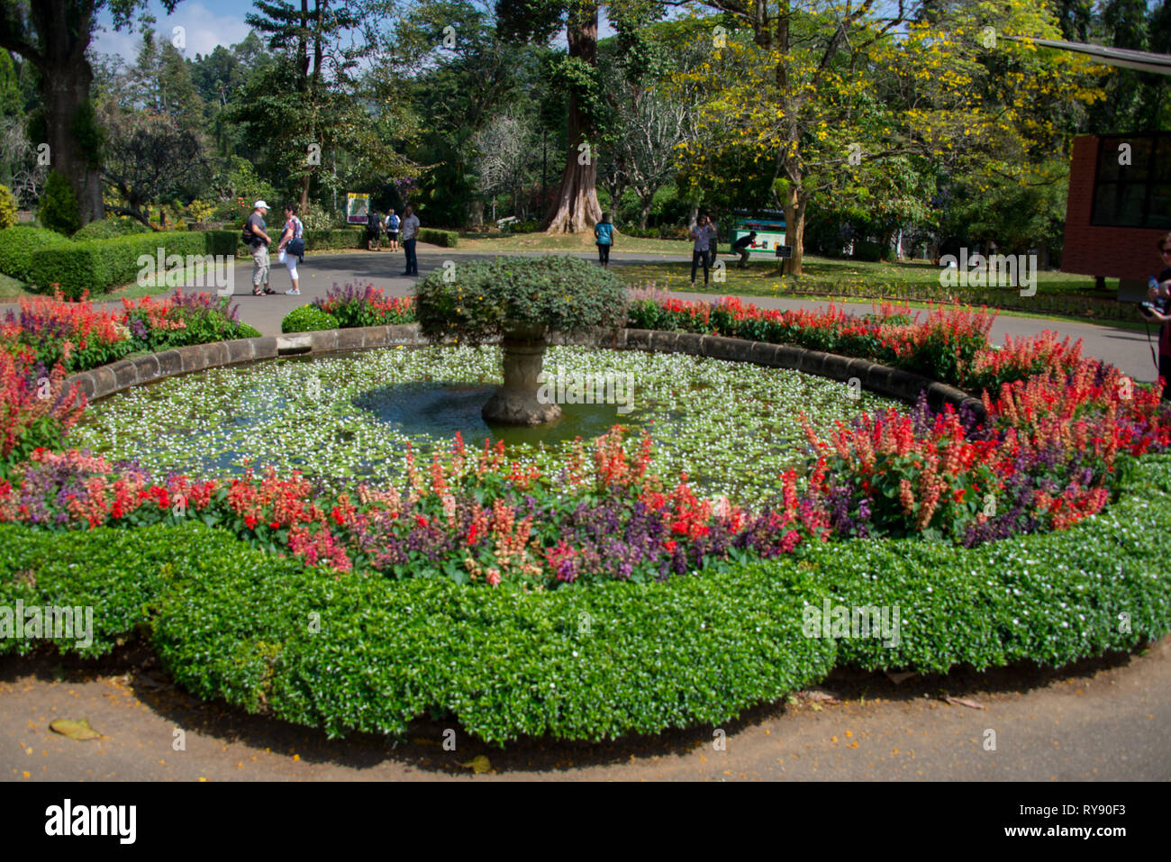 Asia, Sri Lanka, Kandy, Royal Botanic Garden Peradeniya Stock Photo - Alamy