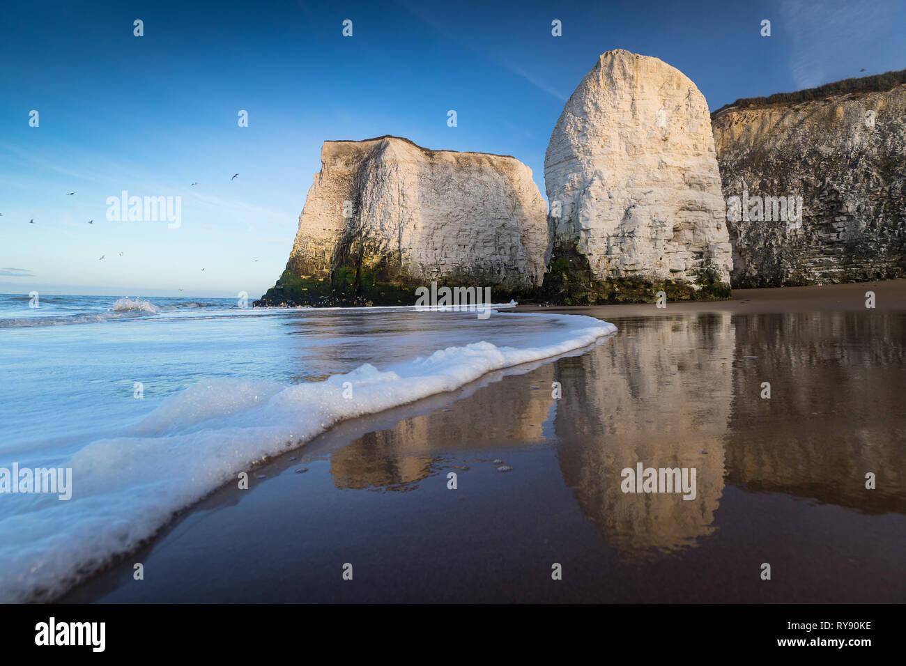 Botany bay beach hi-res stock photography and images - Alamy
