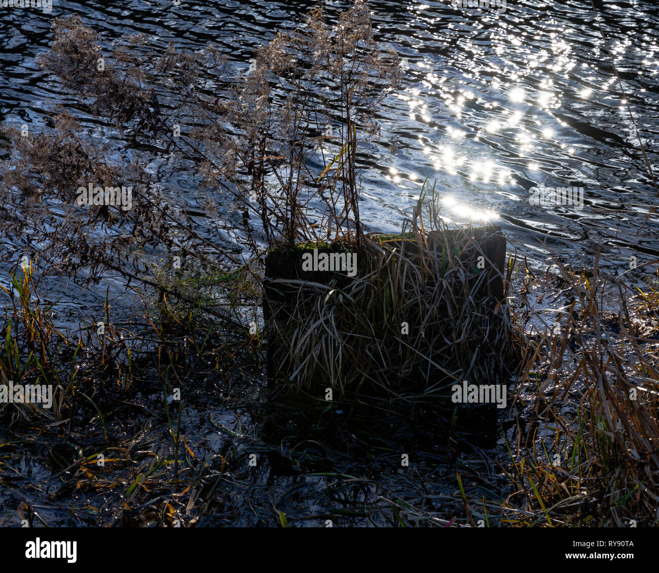 Rotherham Canal High Resolution Stock Photography and Images - Alamy