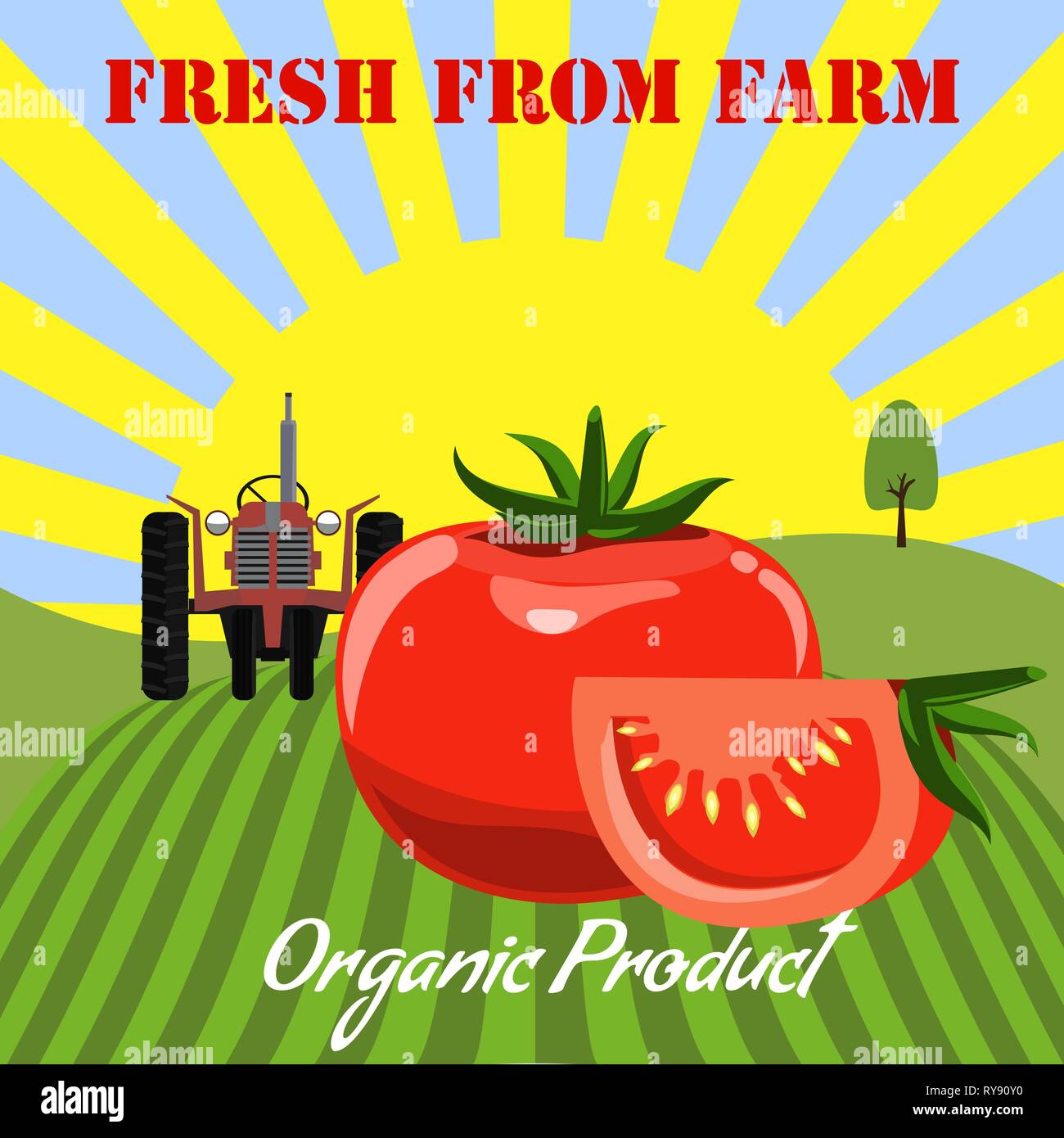 Tomato mockup in farm landscape background. Label design for tomato ...