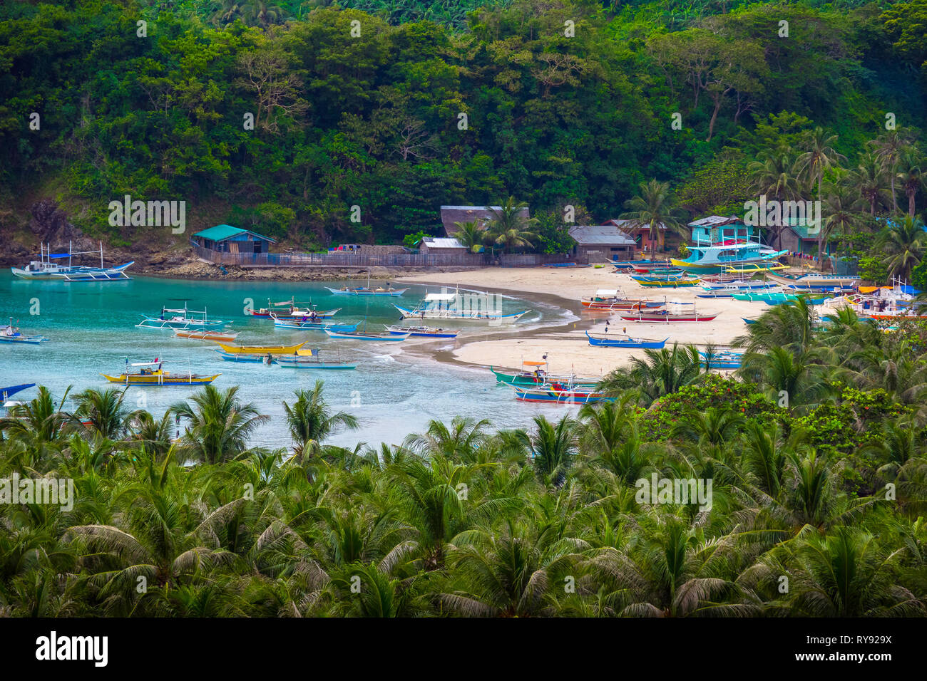 Beautiful Beach Village in Tropical Cove, With Tour Boats and Palm ...