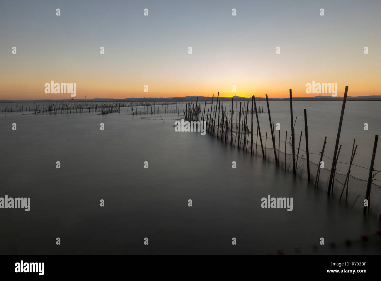 Calm in the valencia lagoon at sunset, Spain Stock Photo - Alamy