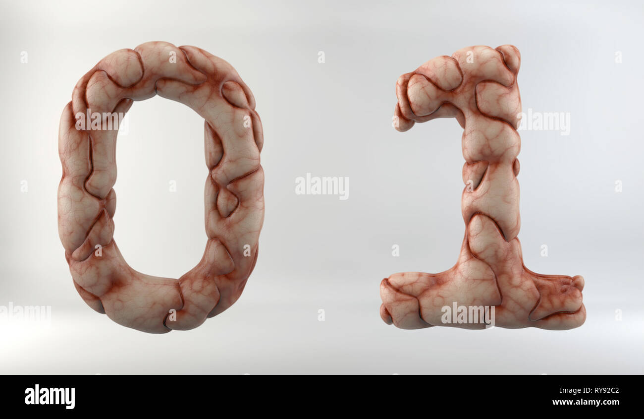 3D Illustration of Brain Alphabet (Letters and Numbers) isolated on ...
