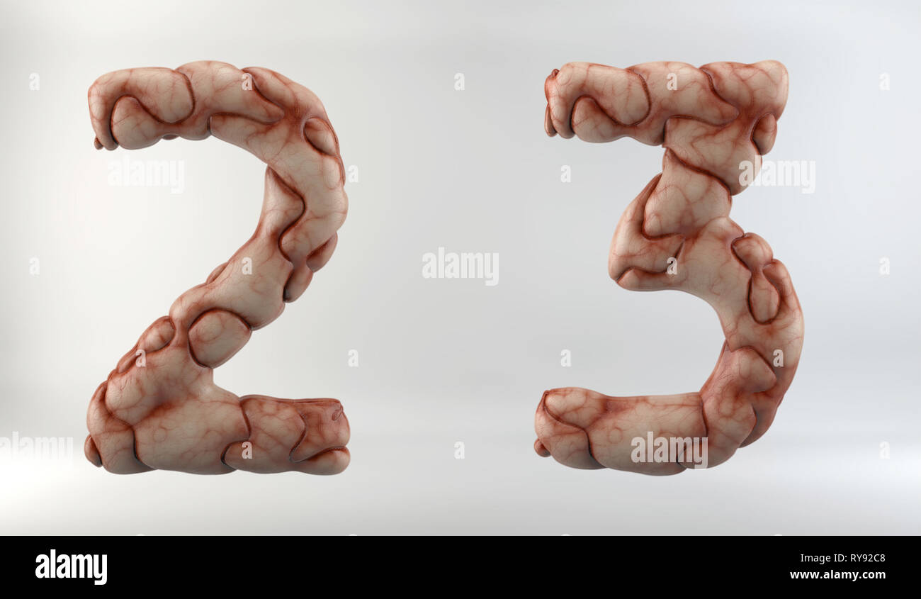 3D Illustration of Brain Alphabet (Letters and Numbers) isolated on ...
