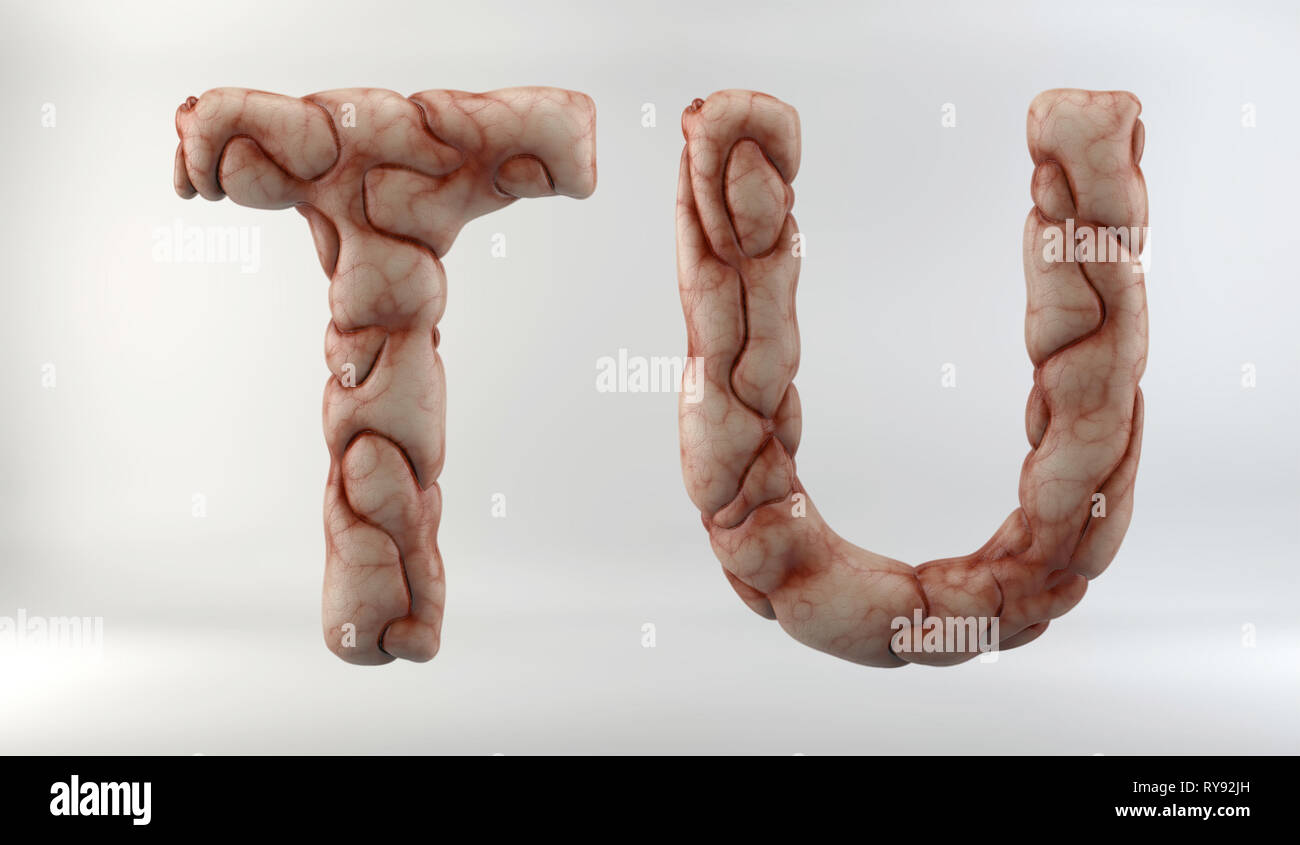 3D Illustration of Brain Alphabet (Letters and Numbers) isolated on ...