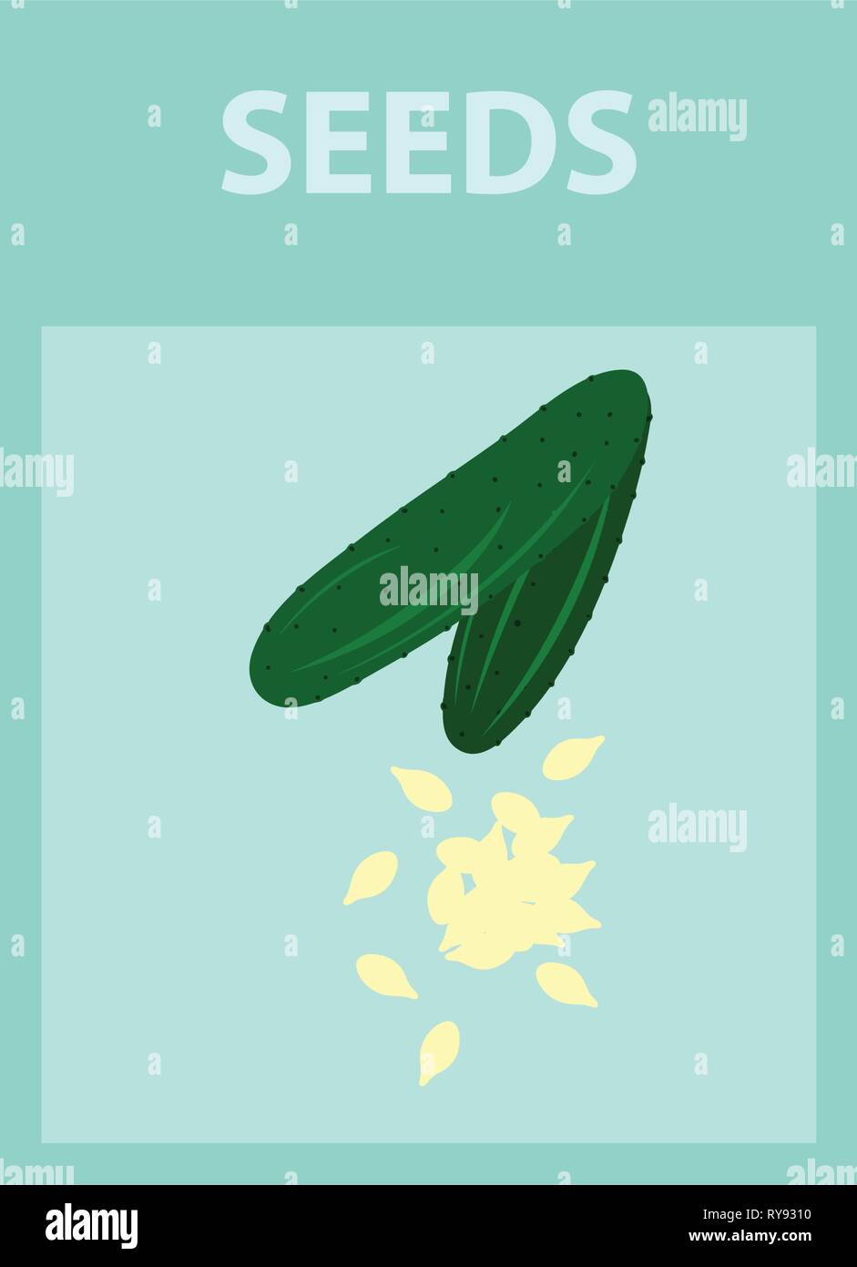 Seed pack icon. Flat color design. Vector illustration Stock Vector ...