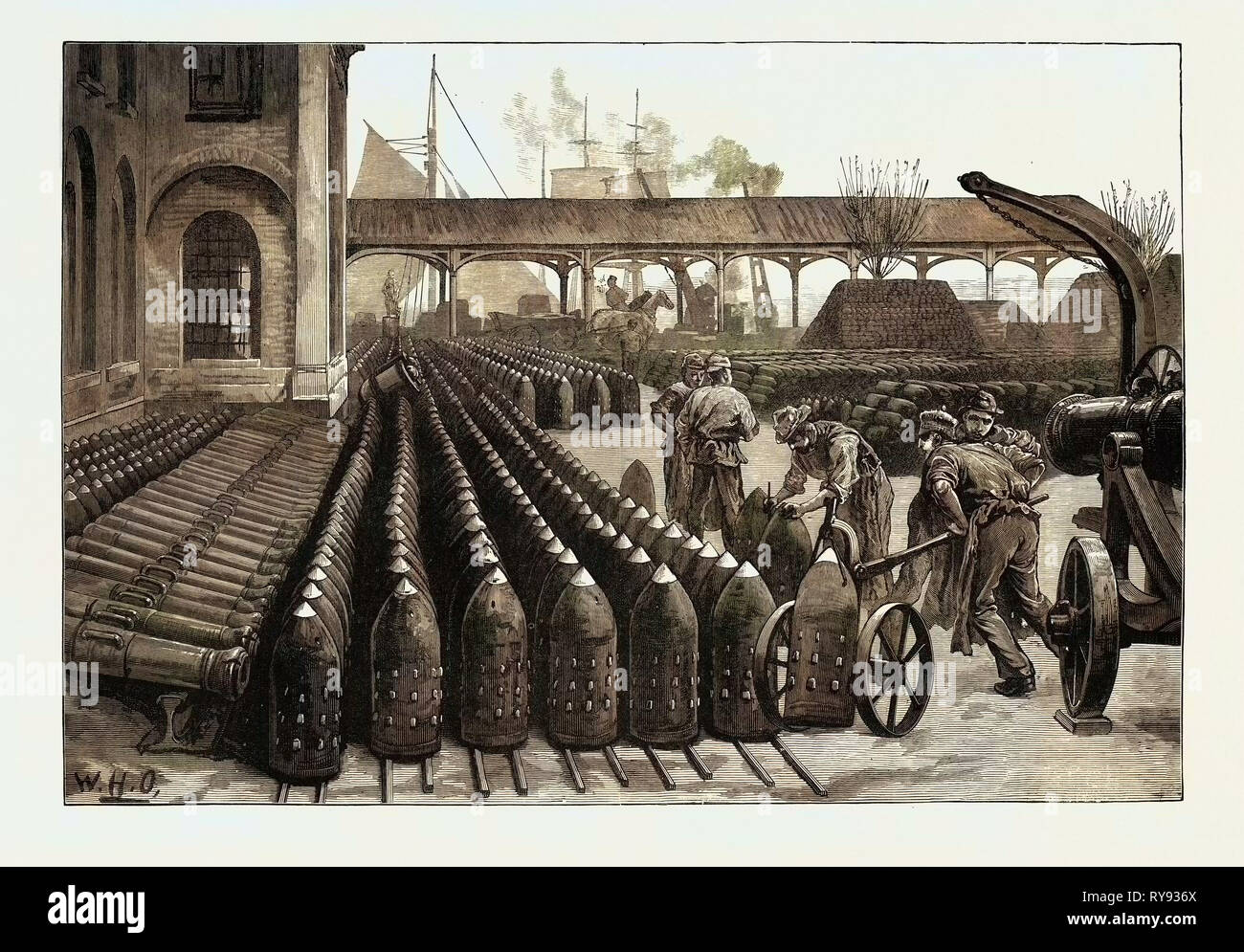 Palliser shells hi-res stock photography and images - Alamy