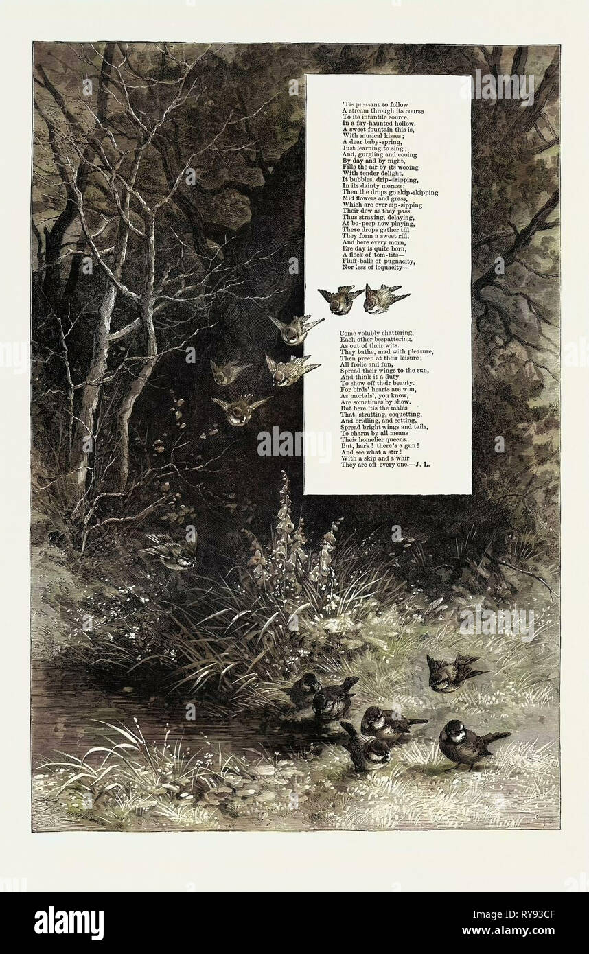 The Morning Bath Stock Photo - Alamy