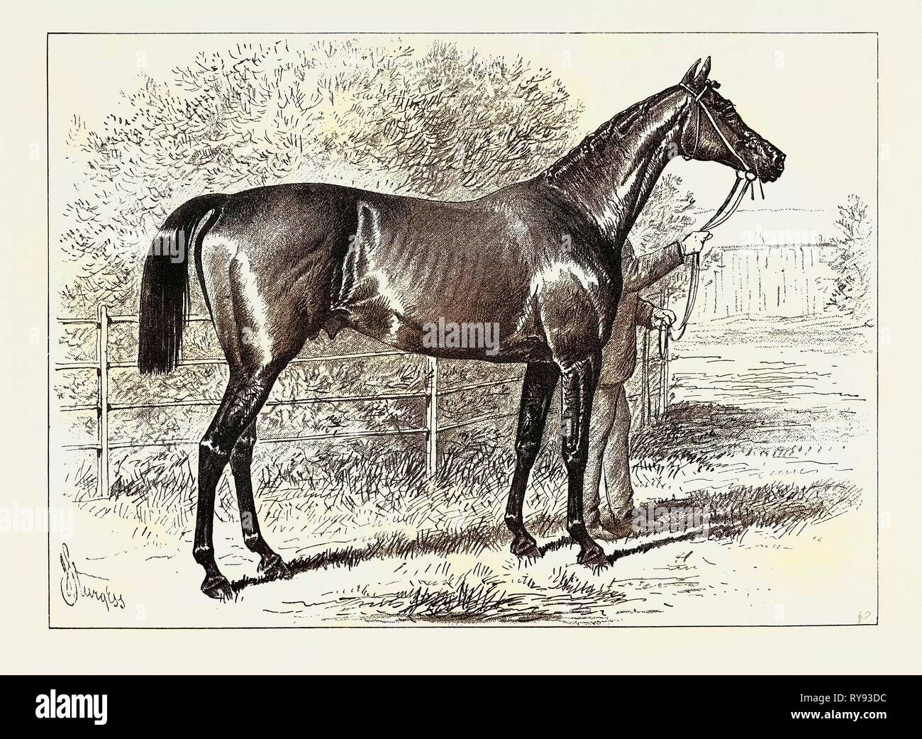 Isomy hi-res stock photography and images - Alamy