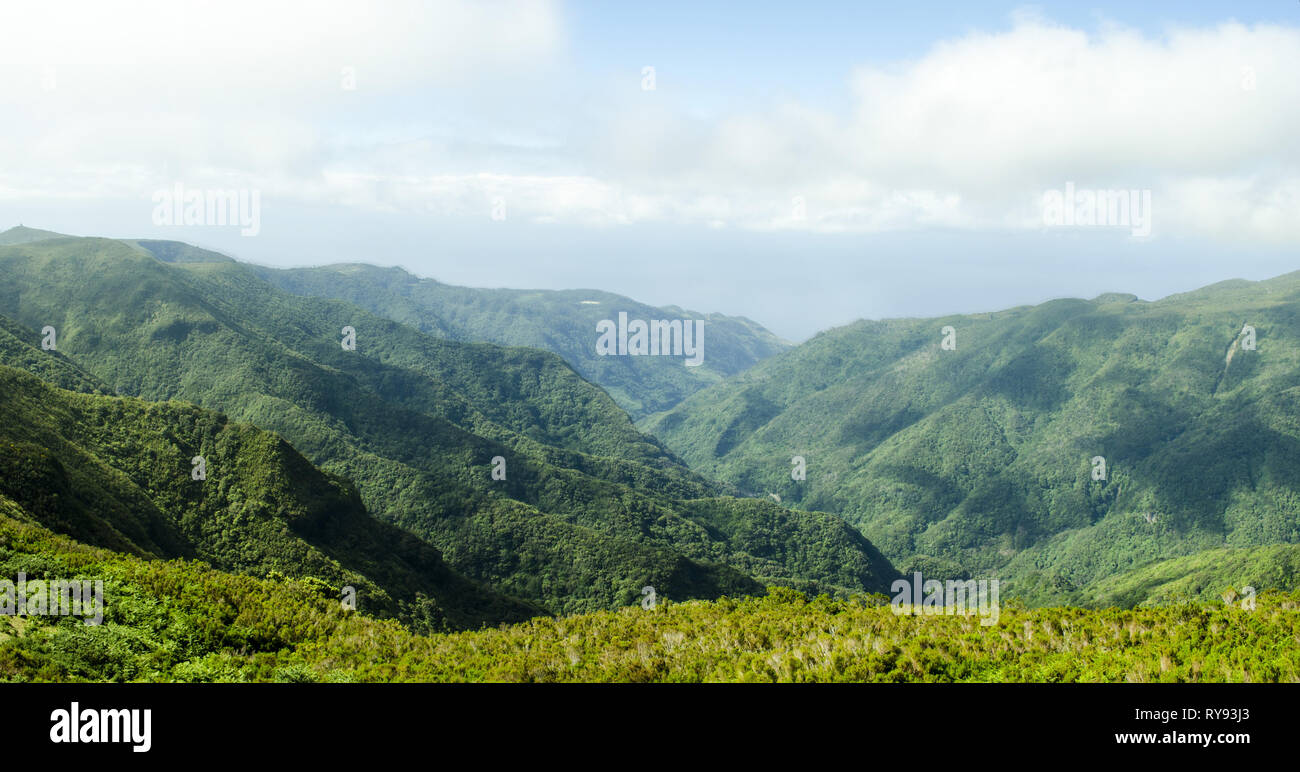 Rabaçal madeira hi-res stock photography and images - Alamy