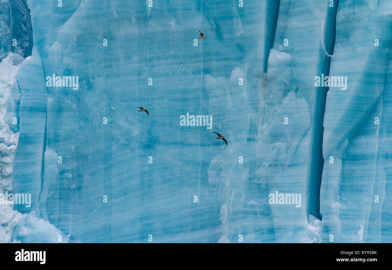 Antarctica massive iceberg in hi-res stock photography and images - Alamy