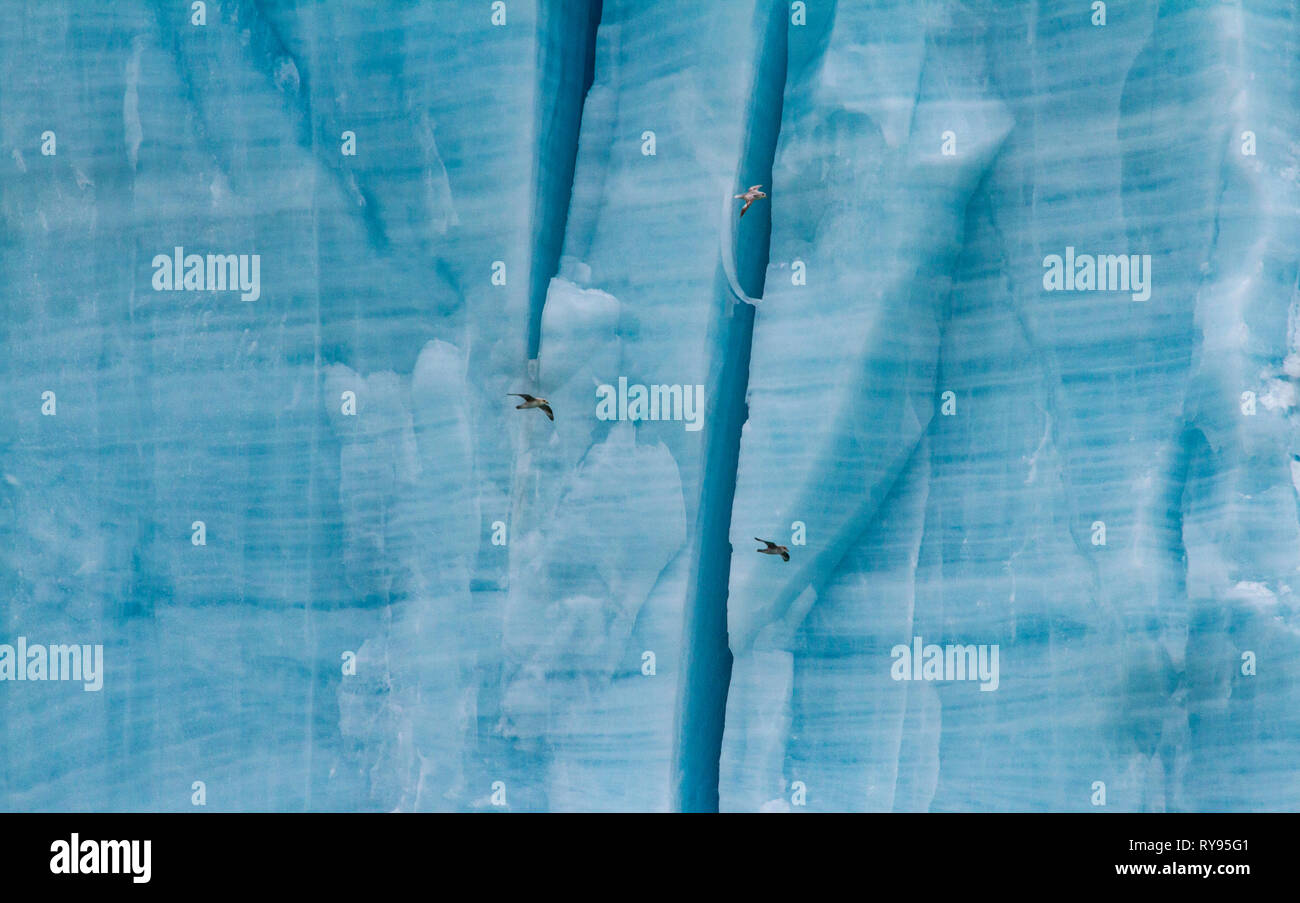 Antarctica massive iceberg in hi-res stock photography and images - Alamy