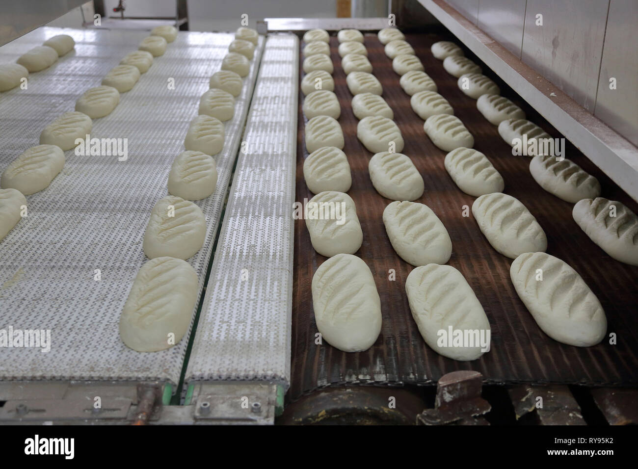 High angle view of bread dough on production line in factory Stock ...