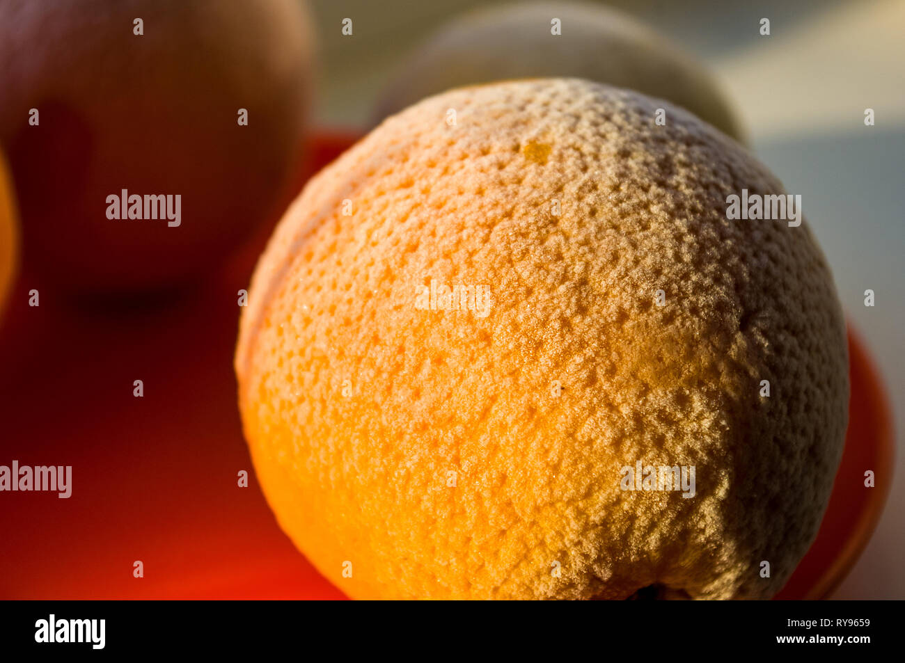 Frozen oranges and lemons on a red plate, covered in frost, illuminated ...