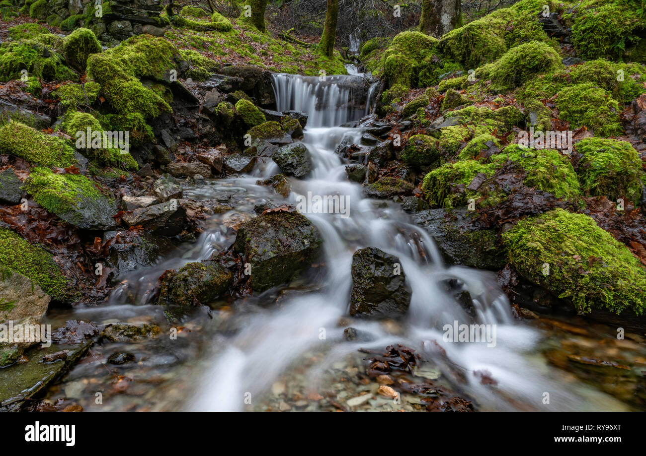 Pebbles in a straem hi-res stock photography and images - Alamy