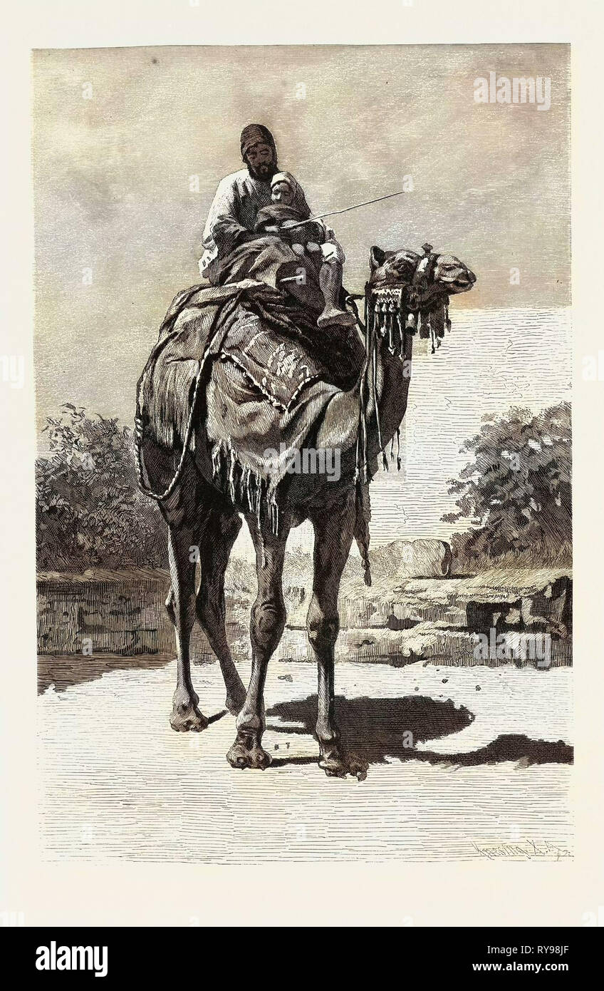 CAMEL RIDER. Egypt, engraving 1879 Stock Photo - Alamy