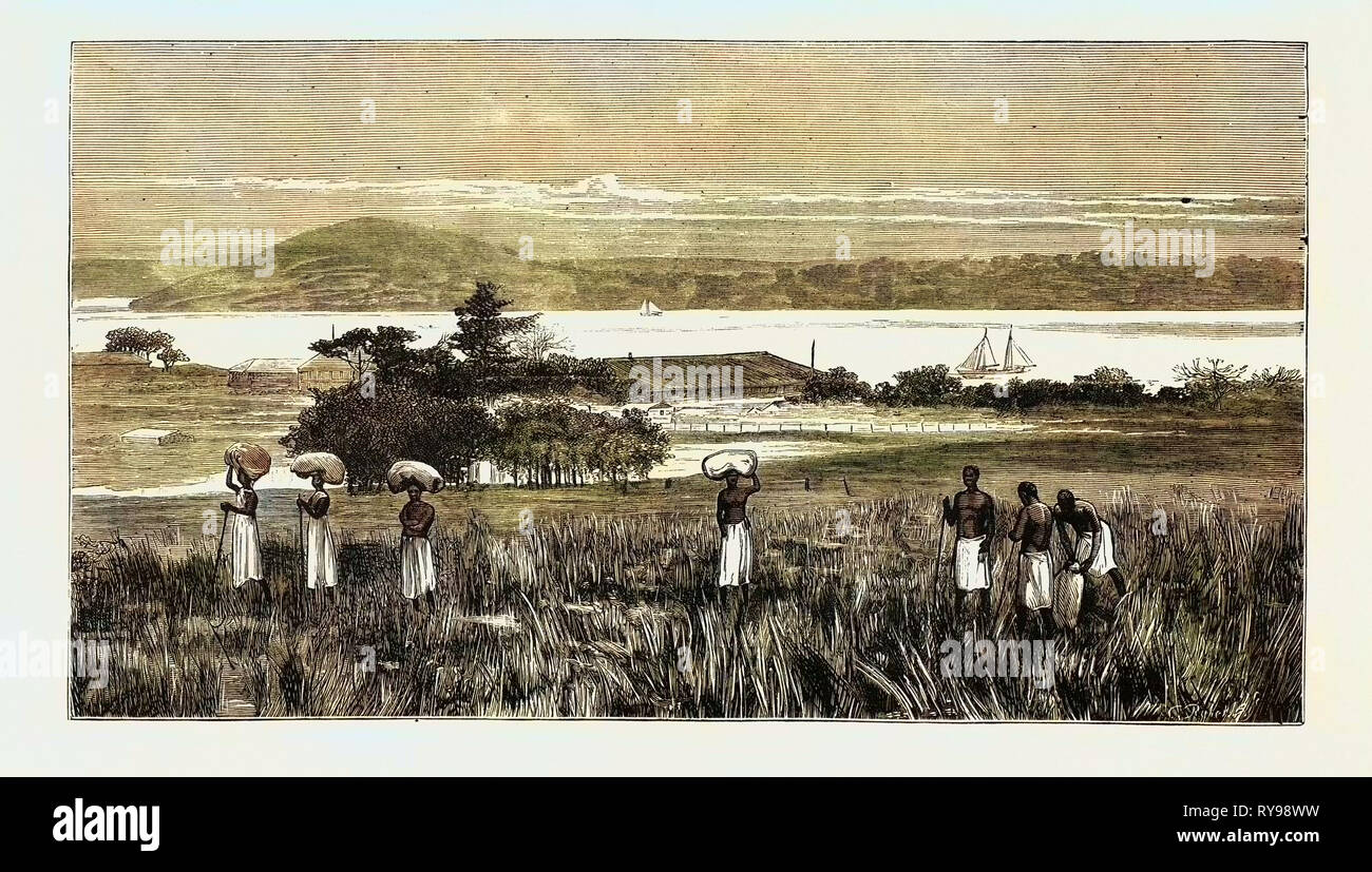 English settlement africa hi-res stock photography and images - Alamy