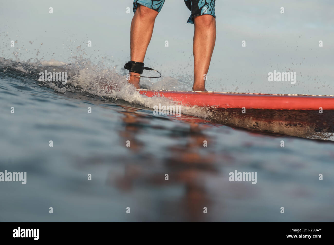 Crop legs of male surfing between water of sea on Bali, Indonesia Stock ...