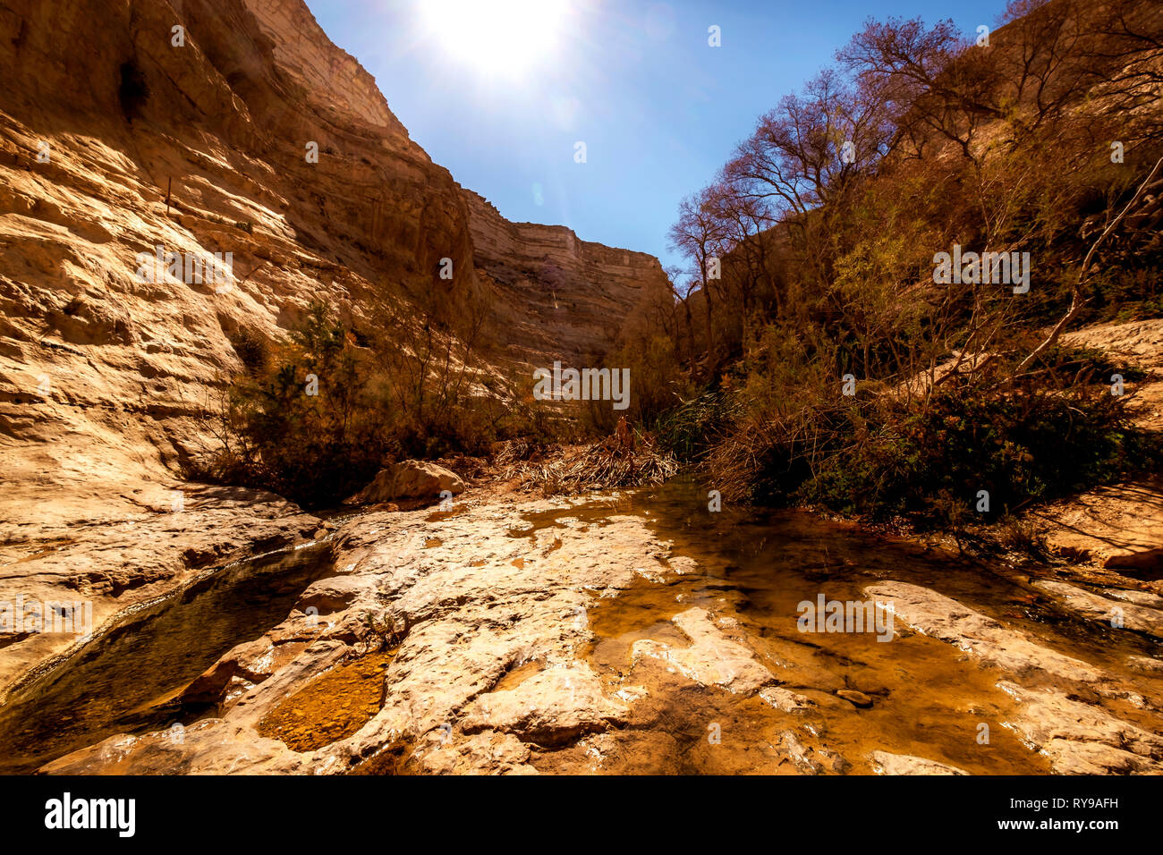Israel nature hi-res stock photography and images - Alamy