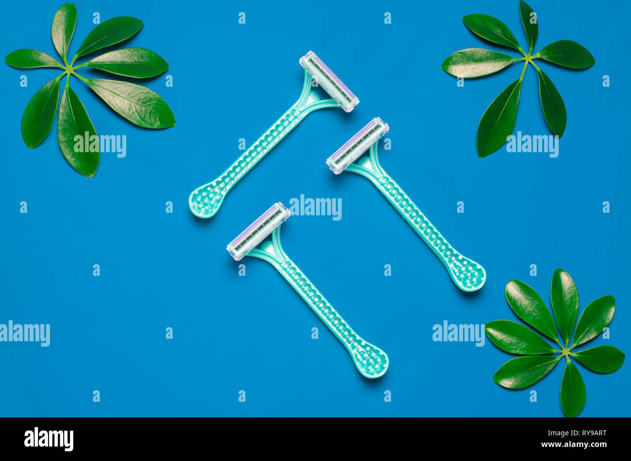 shaving razor lie on the colored background next to green leaves. Top ...