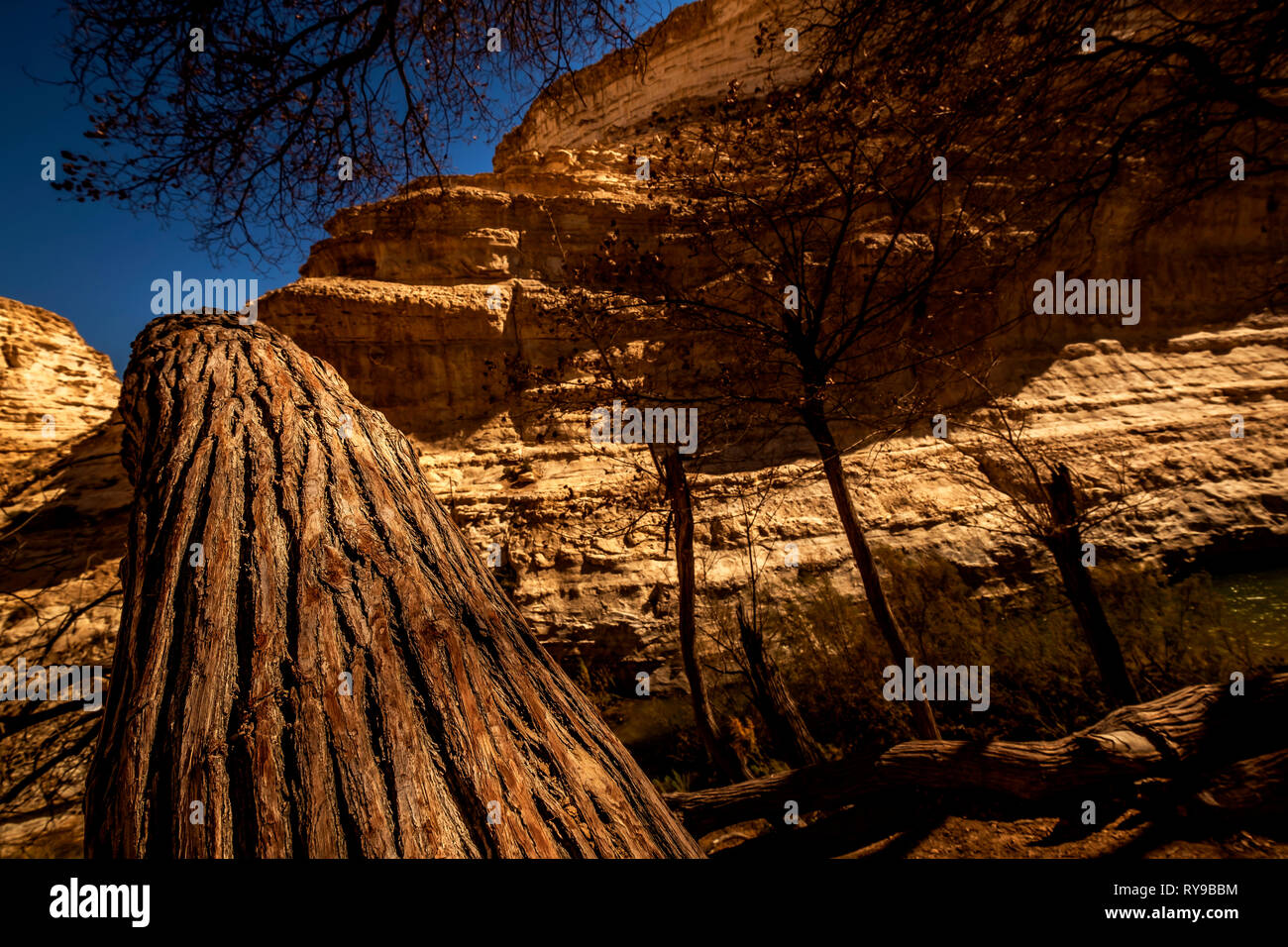 Ein Ovdat nature reserve, Israel Stock Photo - Alamy
