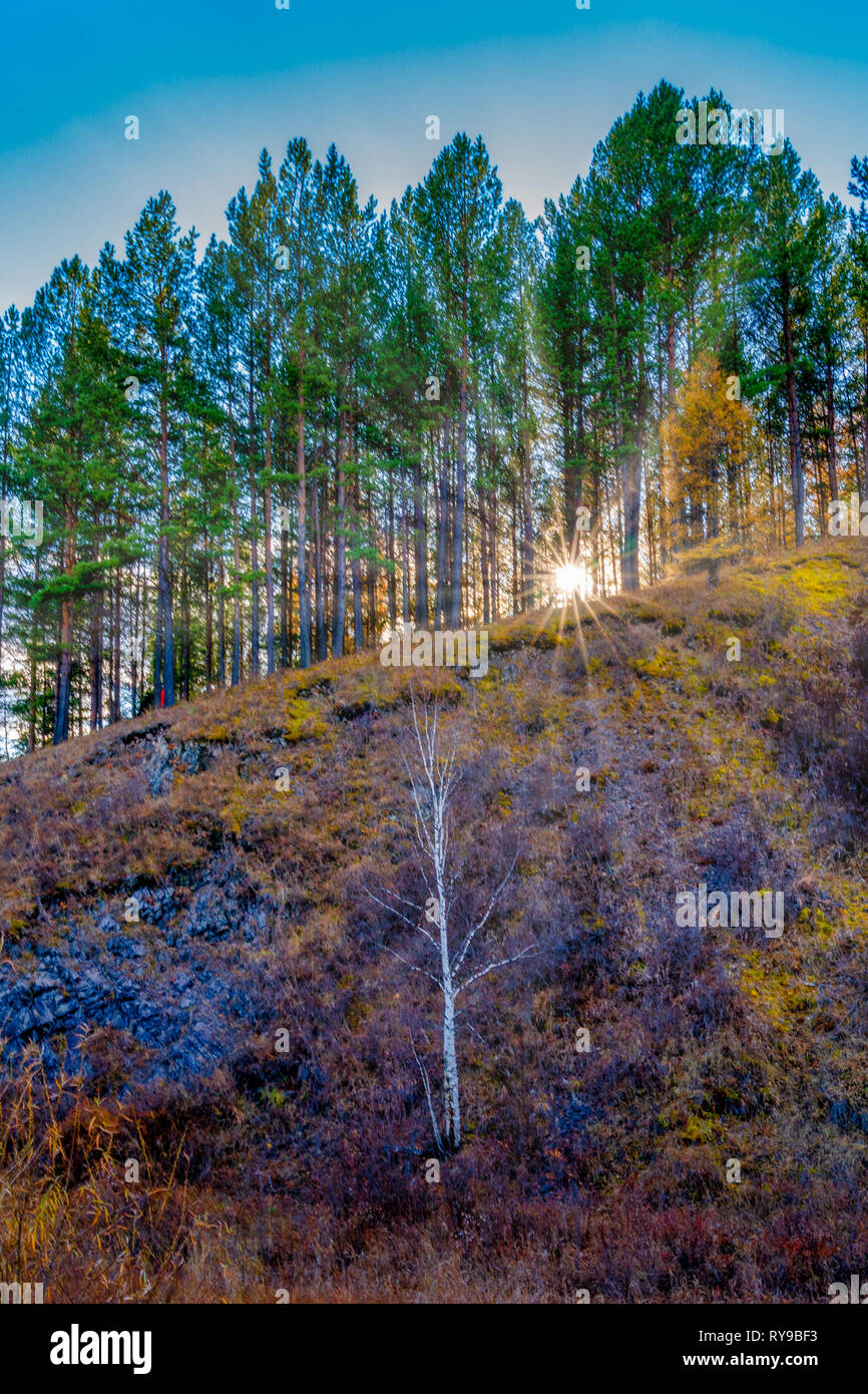 Brilliant sunstar hi-res stock photography and images - Alamy