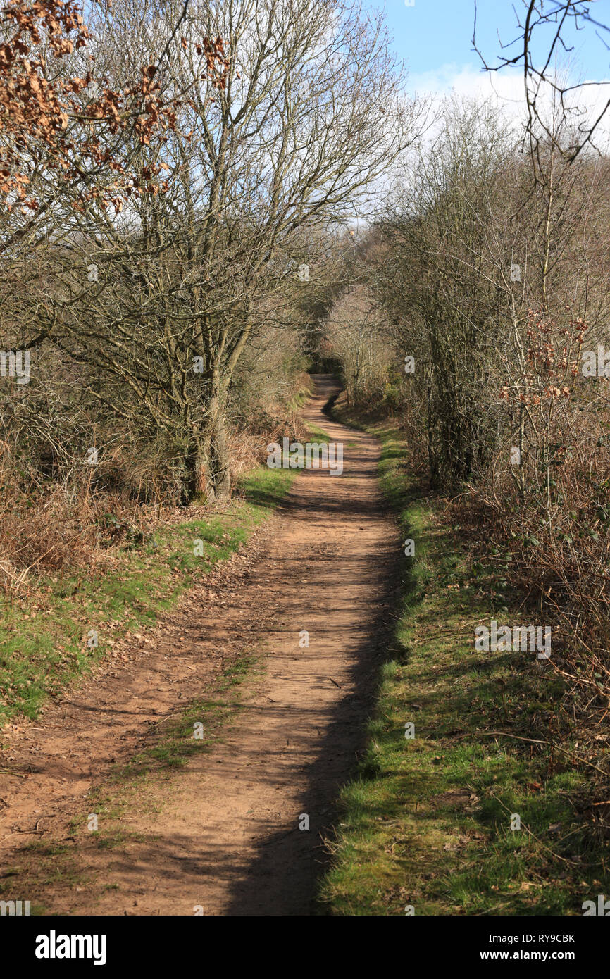 One of the many public paths on the Rifle range nature reserve near ...