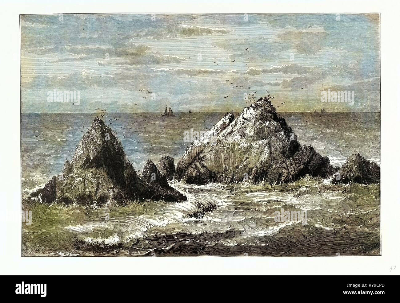 Seal Rocks United States of America Stock Photo - Alamy