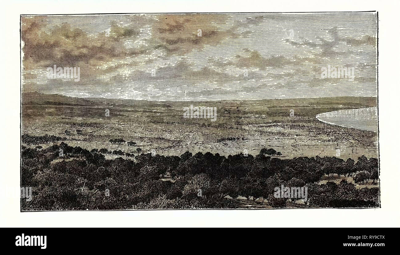 Latakia syria hi-res stock photography and images - Alamy