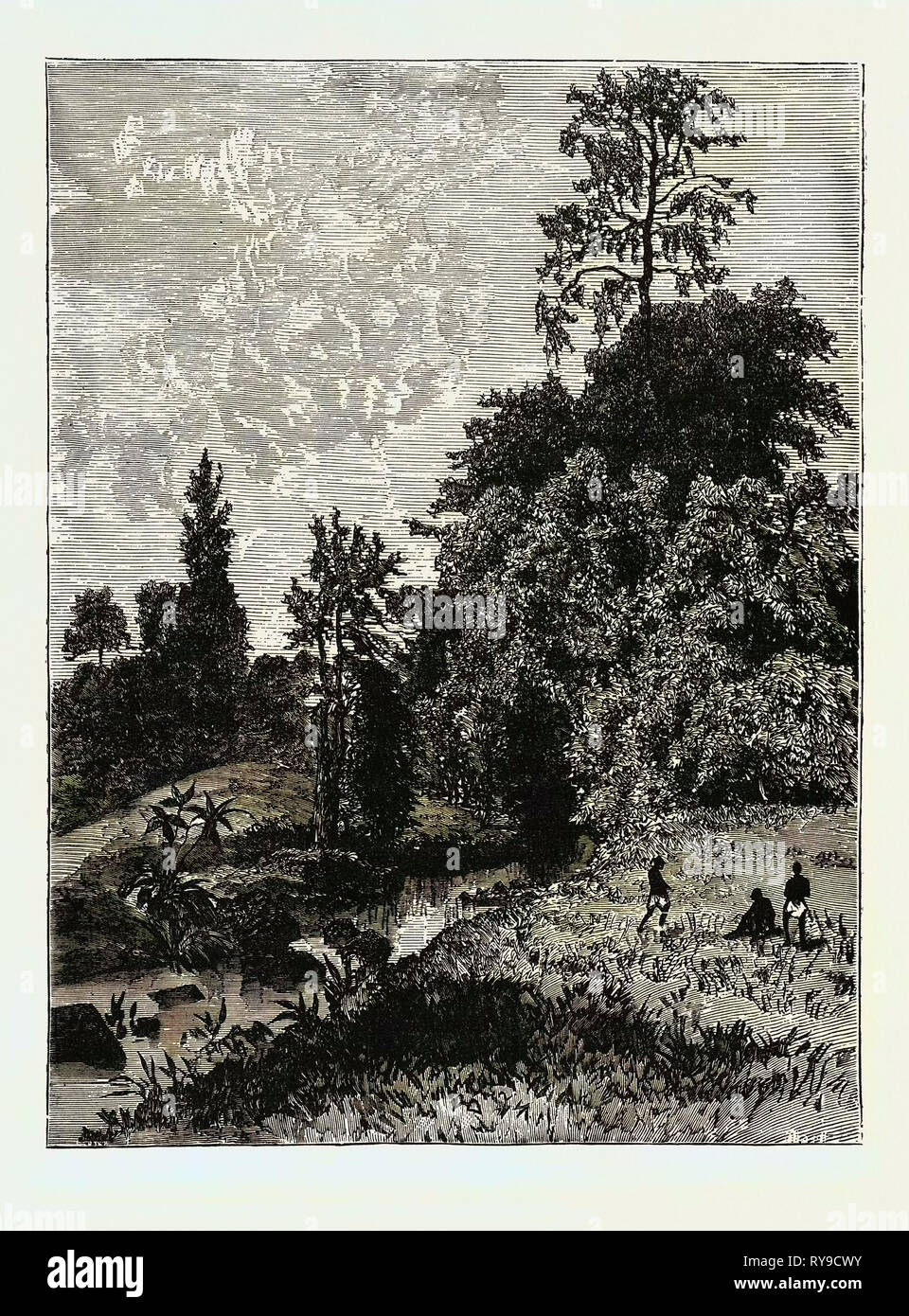 A VIEW IN ABYSSINIA. Ethiopia, Ethiopian Empire Stock Photo - Alamy