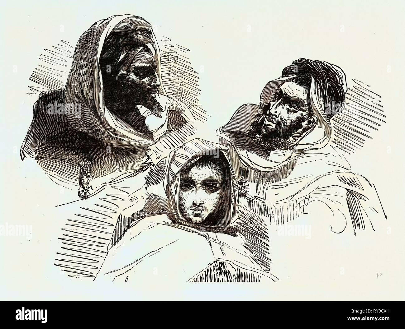 MOORS, several historic and modern populations from North Africa Stock ...