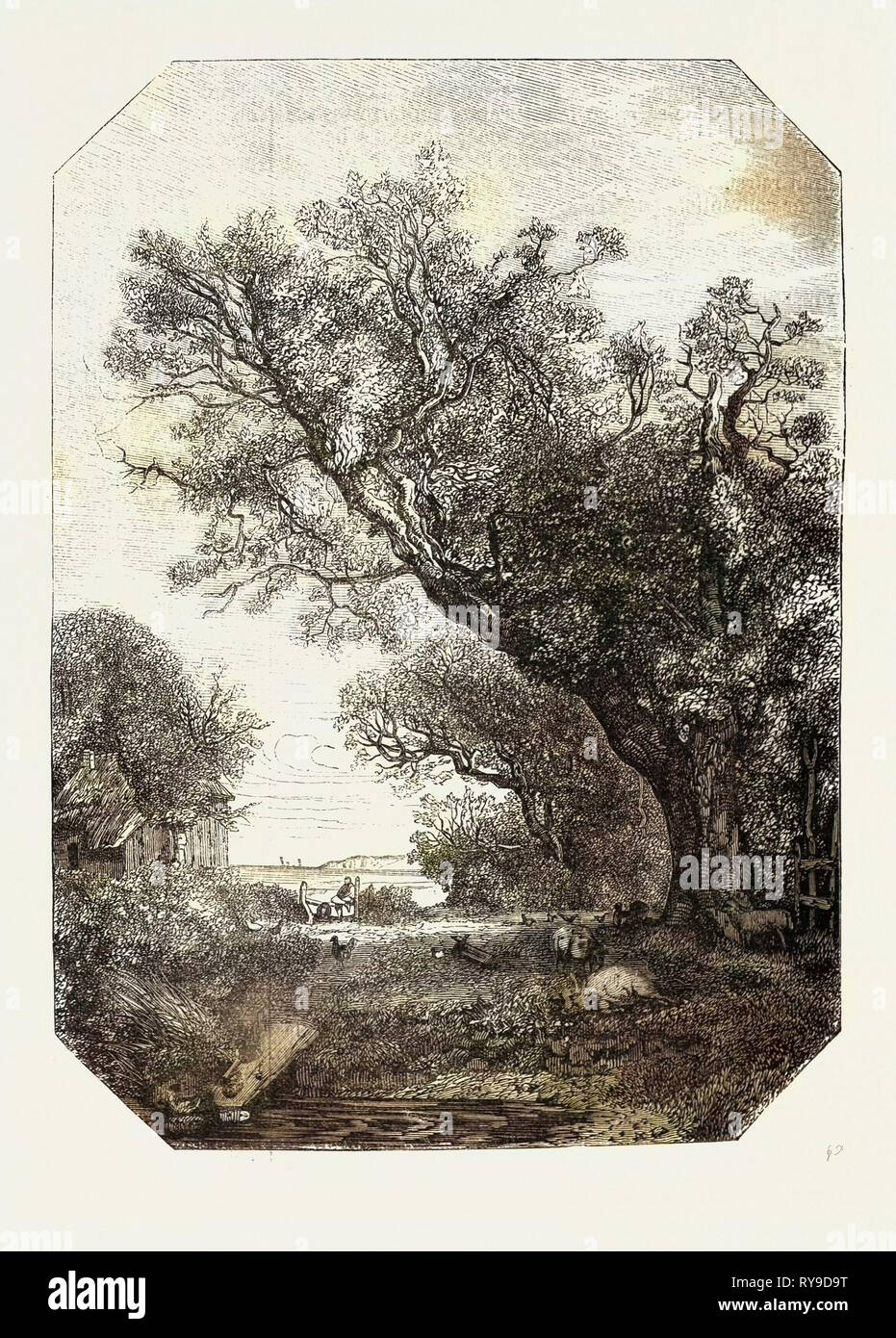 Normandy, Engraving 1855 Stock Photo - Alamy