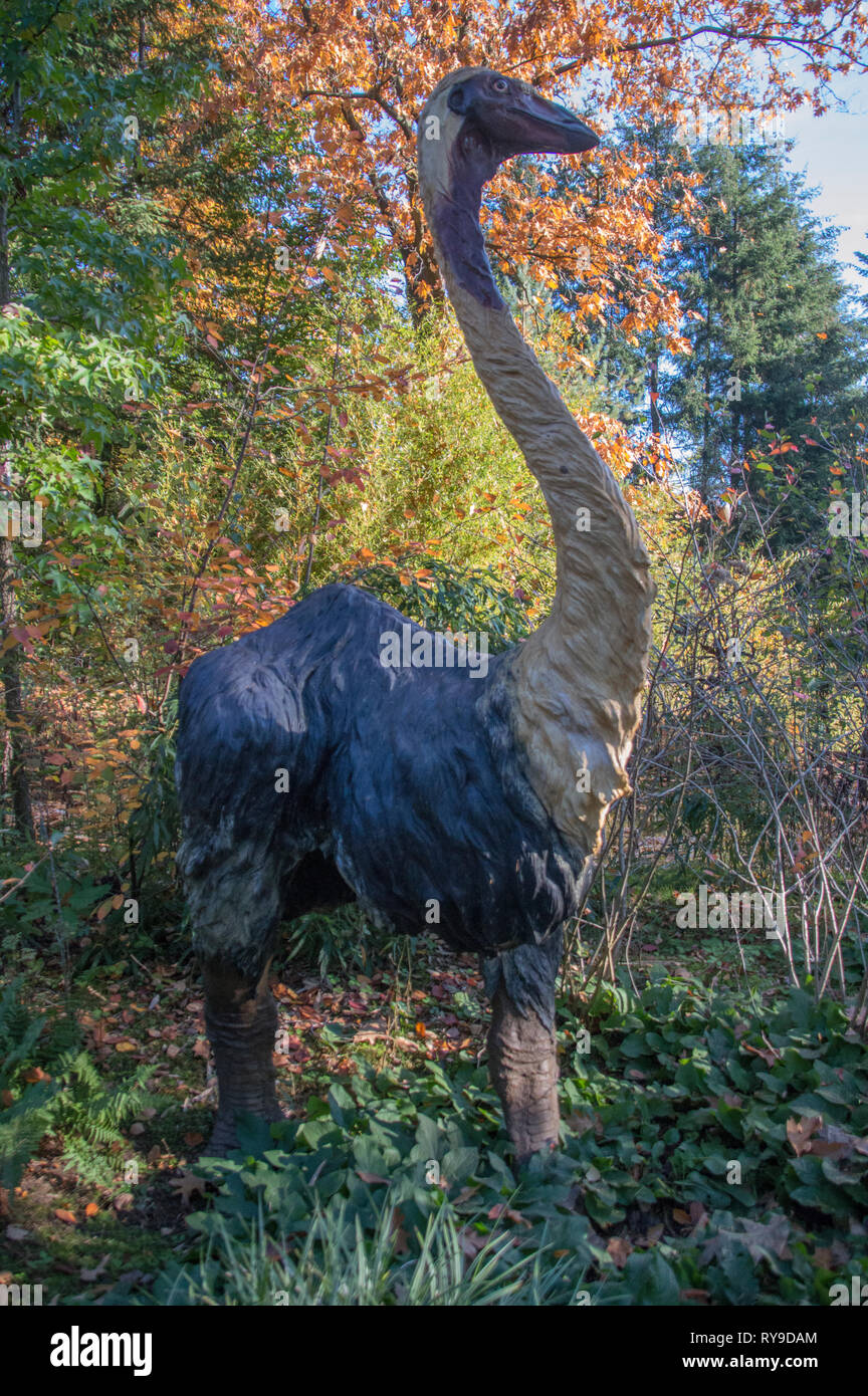 Real Elephant Birds Elephant Bird Facts, Habitat, Pictures And Diet