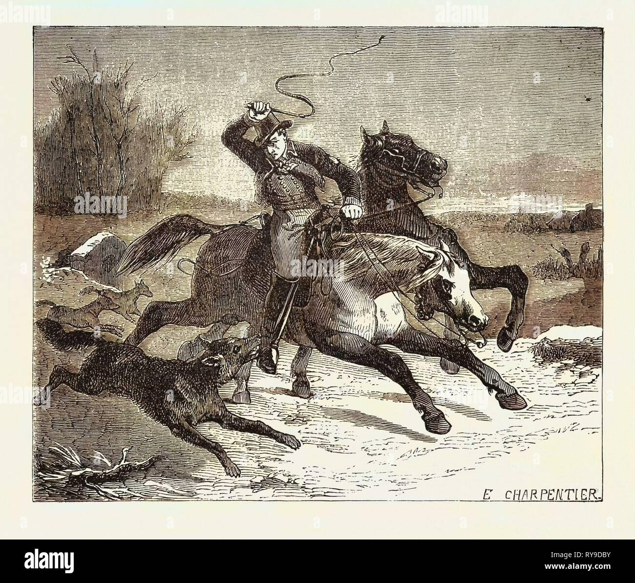 Postilion hi-res stock photography and images - Alamy